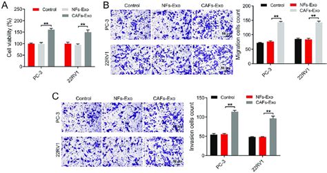 Cafs Exo Enhanced Pc Cell Migration And Invasion A Pc3 And 22rv1 Cells Download Scientific