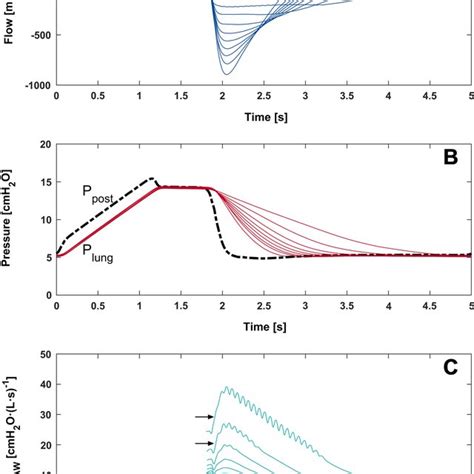 A Airway Flow B Lung Pressure Plung And C Expiratory Airway