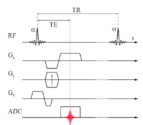 7 Chronogram Of Flash Gradient Echo Imaging Sequence Download