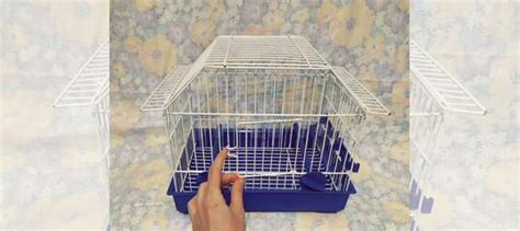Клетка переноска Игрушки для попугая маленькая купить в Санкт ...