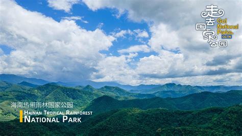 Go Hainan Tropical Rainforest National Park Cgtn