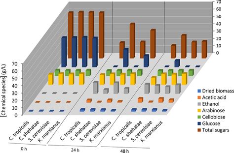 Kinetic Profiles Of Total Sugars Individual Sugars Cellobiose Download Scientific Diagram