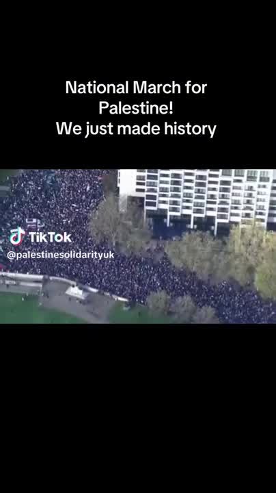 Mohammed Moheeb On Linkedin Amazing Scenes From London Such A Peaceful Protest They Tried