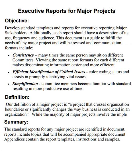 Execution Report