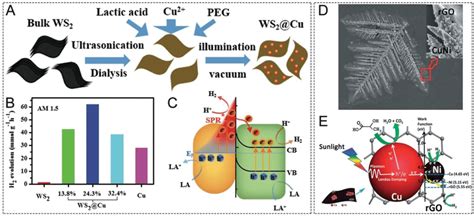 A Schematic Illustration Of The Self‐assembly Process To Synthesize