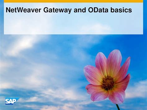 PDF SAP Fiori NetWeaver Gateway And OData Basics PDF FileSAP