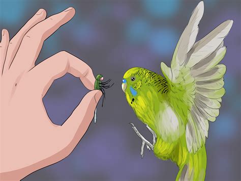 Как загнать в клетку попугая