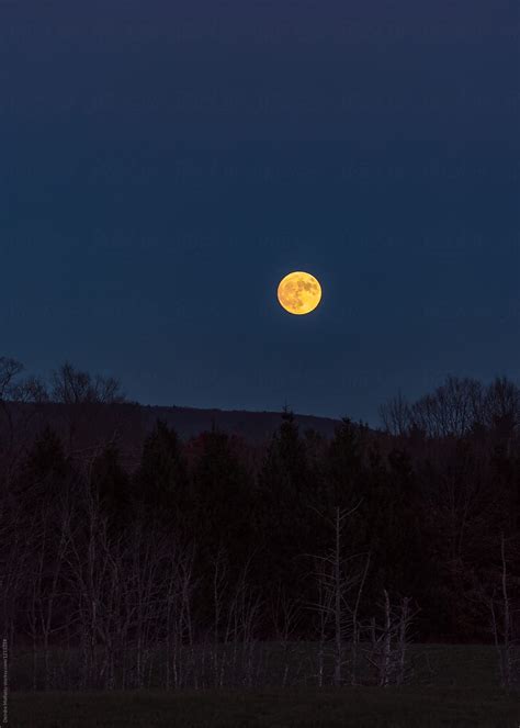 Harvest Moon In Night Sky By Stocksy Contributor Deirdre Malfatto