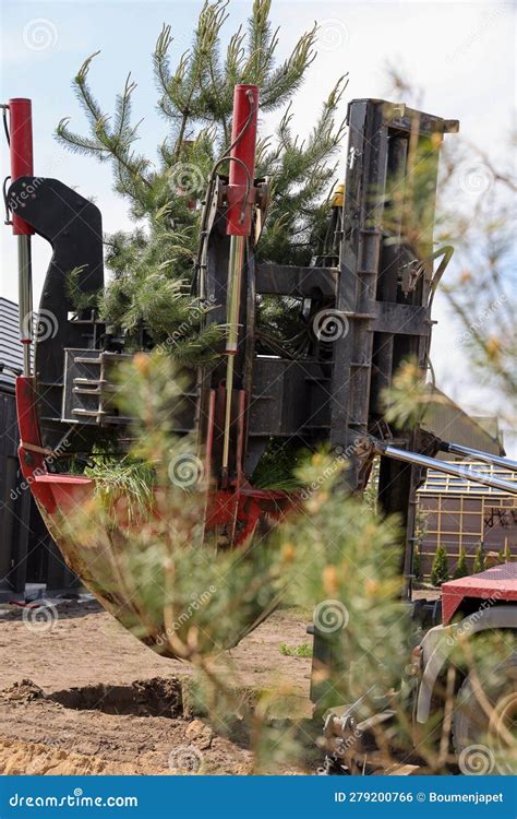 Tree Transplanter Heavy Machine Machine For Transplanting Large Trees Planting Large Spruce
