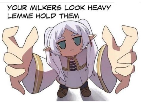 Frieren Hold Memes Really Funny Memes Funny Memes