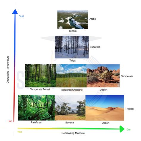 Biomes Meaning Map Types Examples And Facts