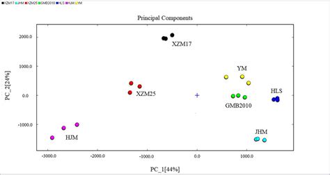 Principal Component Analysis Of Volatile Organic Compounds In Seven Download Scientific Diagram