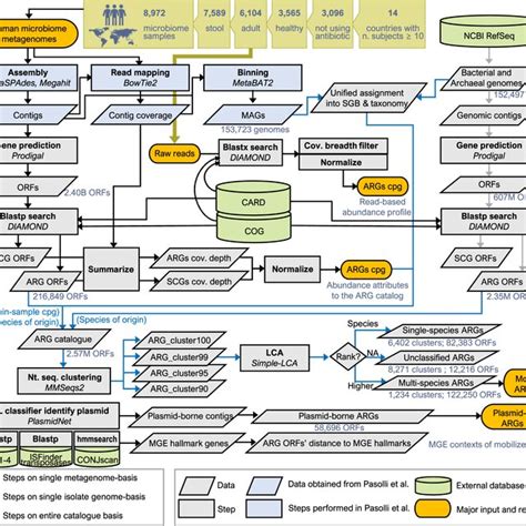 A Schematic Overview Of The Bioinformatics Pipeline Employed In The
