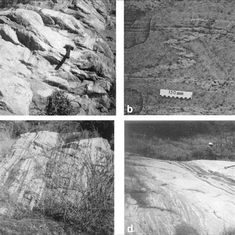Type 3 Hook Type Fold Interference Pattern Due To Refolding Of F 3