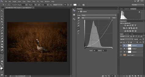 How To Use Curves In Photoshop