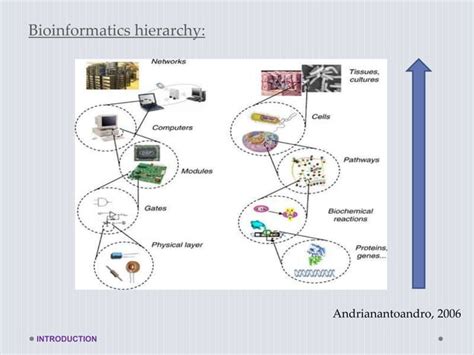 Bridging Histology And Bioinformatics Ppt