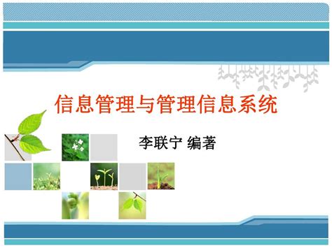 第2章 信息管理与信息系统概述 《信息管理与管理信息系统》 Word文档在线阅读与下载 无忧文档