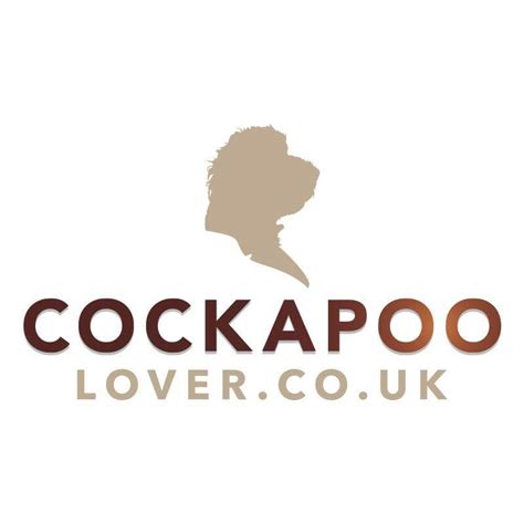 The Cockapoo Enjoying The Sunshine 🌞☀️ Facebook