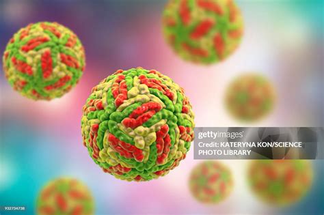 Powassan Virus Particles Illustration High Res Vector Graphic Getty