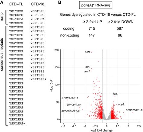 Transcriptional Profiling Of Fission Yeast Rna Polymerase Ii Ctd Mutants