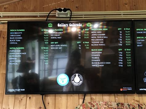 Traditional Versus Block Rtrees