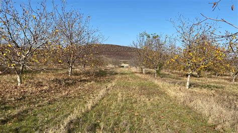 Избул Овощни градини Овощна градина 30860 кв м трета категория