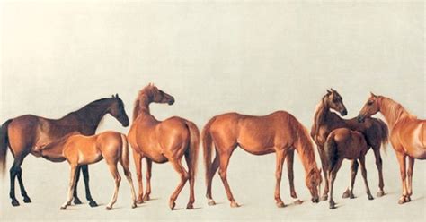 승마 그림 속 말 이야기 28 조지 스텁스의 암말과 망아지