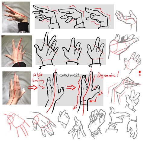 Hand Reference Drawing
