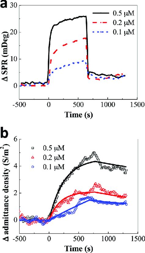 Spr A And Admittance B Responses To The Binding Of Imatinib 0 1 Download Scientific