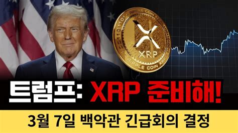 트럼프 긴급 지시 리플 미국 전략자산준비금 채택 Youtube