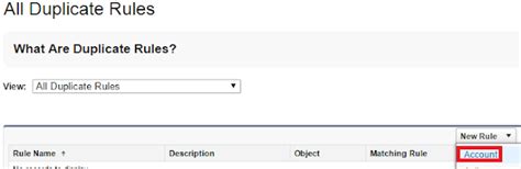 How To Avoid Duplicate Account Creation In Salesforce Infallibletechie