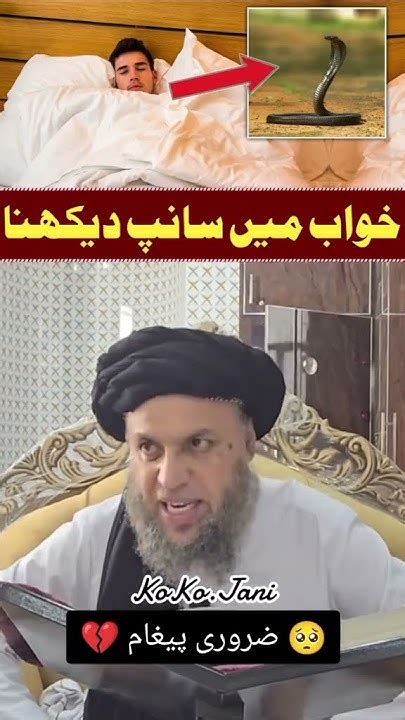 خواب میں سانپ دیکھنا Youtube