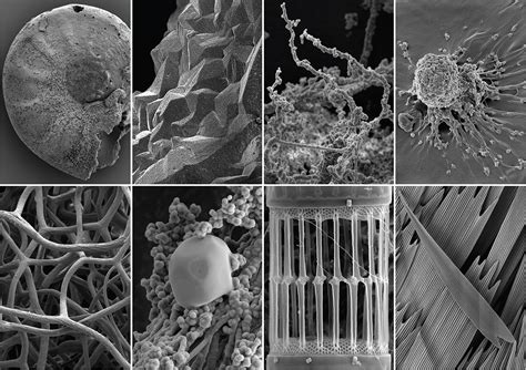 Imaging The Sample Surface Elmilab Uib