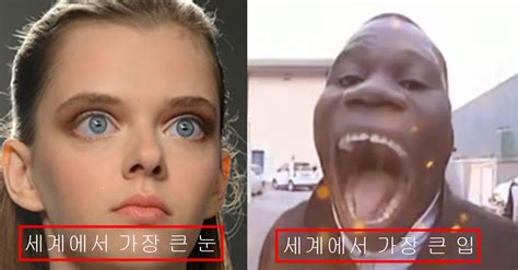 “5살 때 키 163cm” 세상에서 가장 큰 신체 부위를 가진 사람들 근황 지식의정석 New