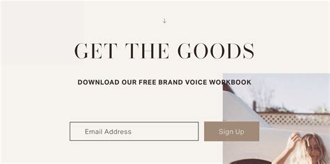 How To Style Your Newsletter Opt In Block Form Field With Css Squarespace 71 — The Styled
