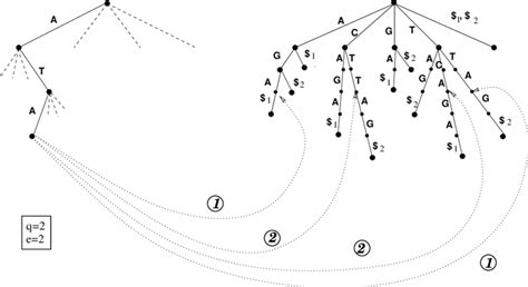 Extracting Single Models With A Suffix Tree An Example Single Models Download Scientific