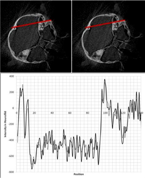 Reconstruction From Cpuleft Gpuright And Intensity Profiles From Download Scientific