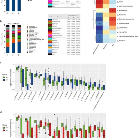 Distinct Phylogenetic Profiling Of Gut Microbiota Among The Three Download Scientific Diagram