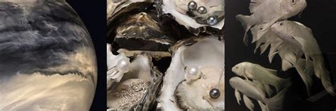 ⁦ෆ╹ ̮ ╹ෆ⁩