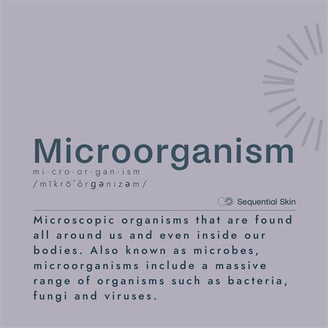 Sequential The Skin Microbiome Testing Co™ On Linkedin