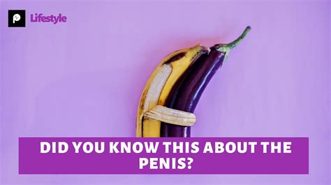 8 Things You Dont Know About The Penis Youtube