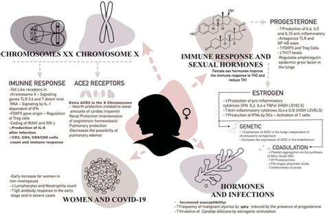 Biological Differences Intrinsic To The Female Gender Download Scientific Diagram