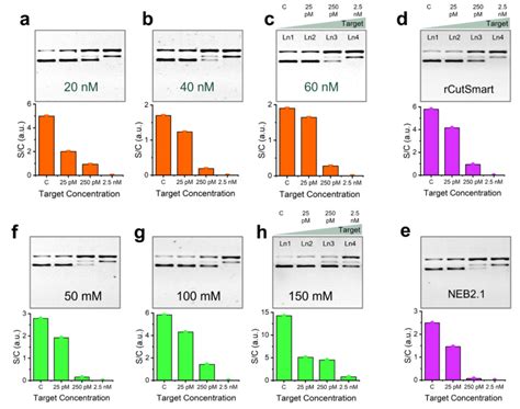 Effect Of Cas12a Concentration A C Buffer Type D E And Salt