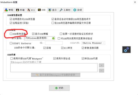 Linux脱离终端运行程序mobaxterm 断网后进程也断了 Csdn博客