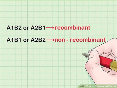 How To Calculate LOD Score 11 Steps With Pictures WikiHow