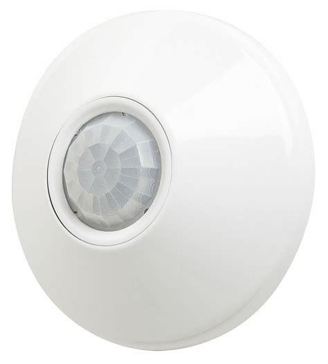 Ceiling Occupancy Sensor Installation Shelly Lighting