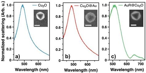 Typical Correlative Single Particle Scattering Spectra Of Pristine Cu 2 Download Scientific Typical Correlative Single Particle Scattering Spectra Of Pristine Cu 2 Download Scientific