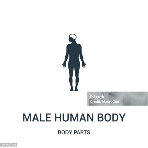 신체 부위 컬렉션에서 남성 인체 실루엣 변형 아이콘 벡터 얇은 라인 남성 인간의 신체 실루엣 변형 개요 아이콘 벡터 일러스트