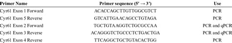 Exon Exon Bridging Primer Sets 5′ 3′ Across The Entire Cyr61 Tran Download Scientific