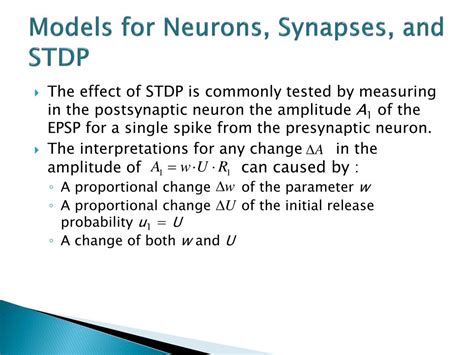 ppt stdp spike timing dependent plasticity powerpoint presentation